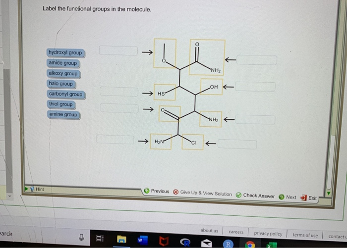 Solved Label the functional groups in the molecule. hydroxyl | Chegg.com