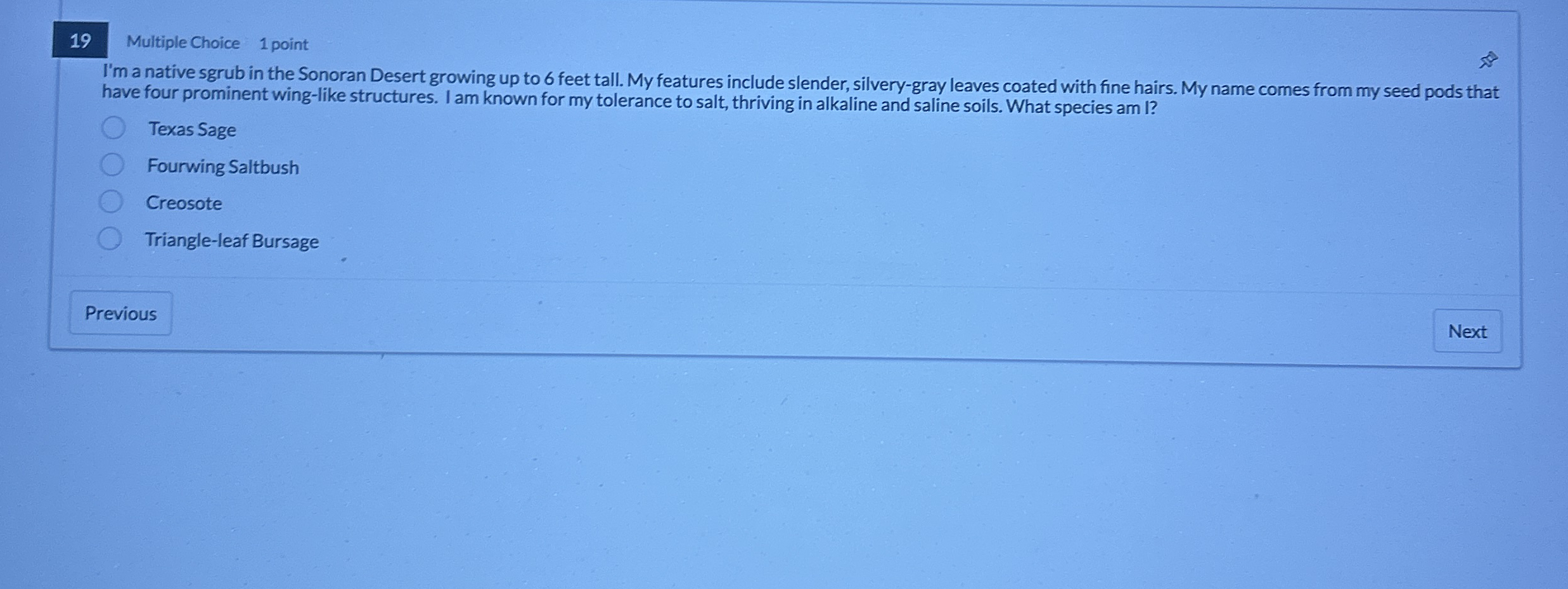 Solved 19Multiple Choice1 ﻿pointI'm a native sgrub in the | Chegg.com