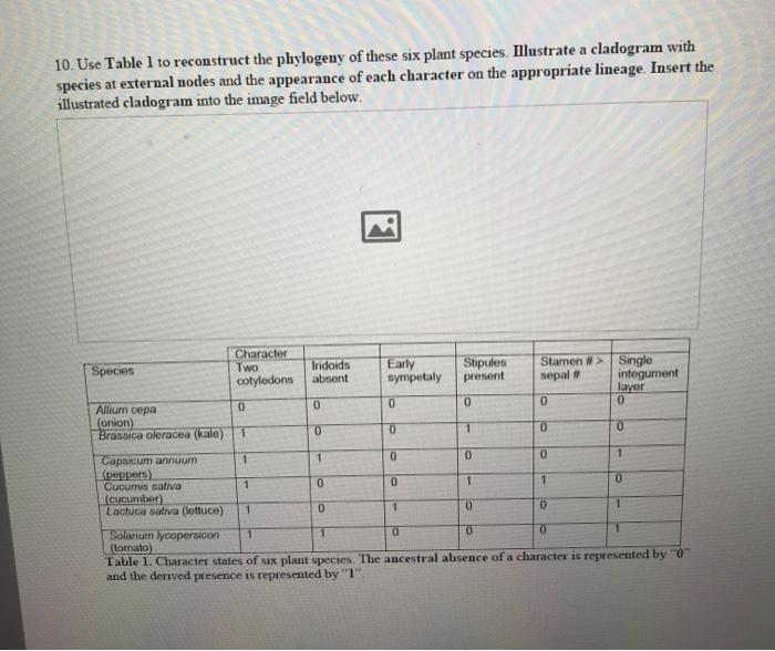 Solved 10. Use Table 1 to reconstruct the phylogeny of these | Chegg.com