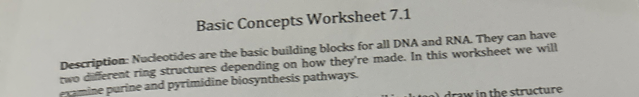 Solved Basic Concepts Worksheet 7.1Description: Nudeotides | Chegg.com