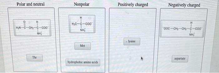 Solved Polar and neutral Nonpolar Positively charged | Chegg.com