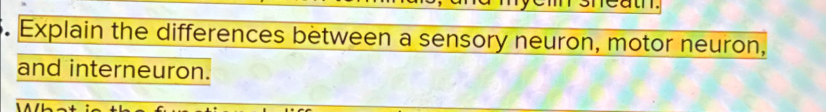 Solved Explain the differences between a sensory neuron, | Chegg.com