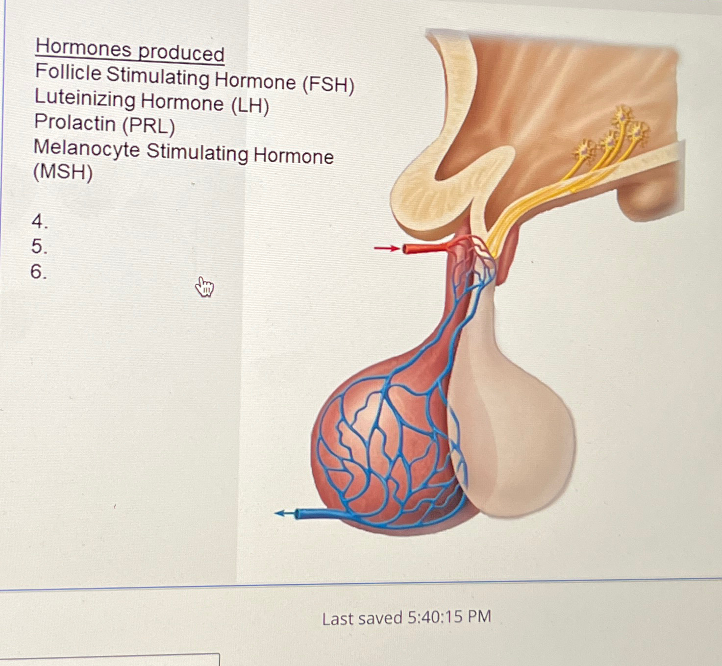 Solved Hormones producedFollicle Stimulating Hormone | Chegg.com