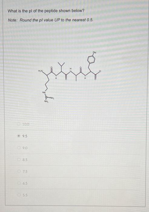Solved What is the pl of the peptide shown below? Note: | Chegg.com