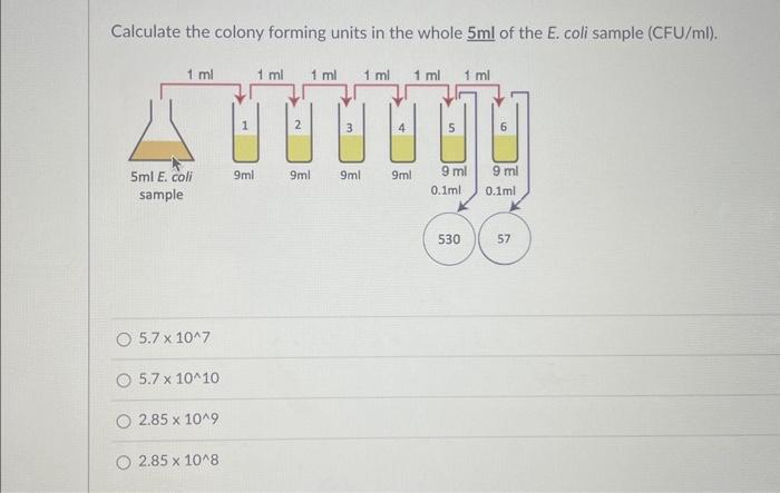 Solved Calculate the colony forming units in the whole 5ml | Chegg.com