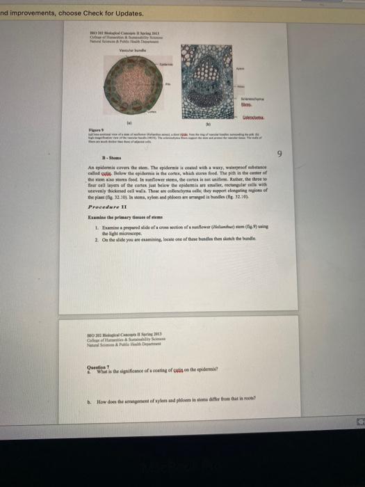 Solved Vegetative Structure of Vascular Plants Objectives By | Chegg.com