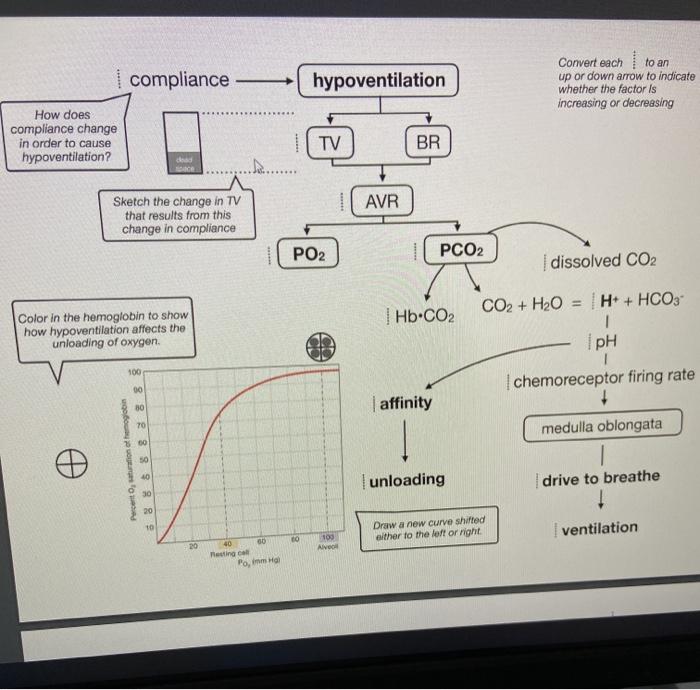 Solved compliance hypoventilation Convert each to an up or | Chegg.com
