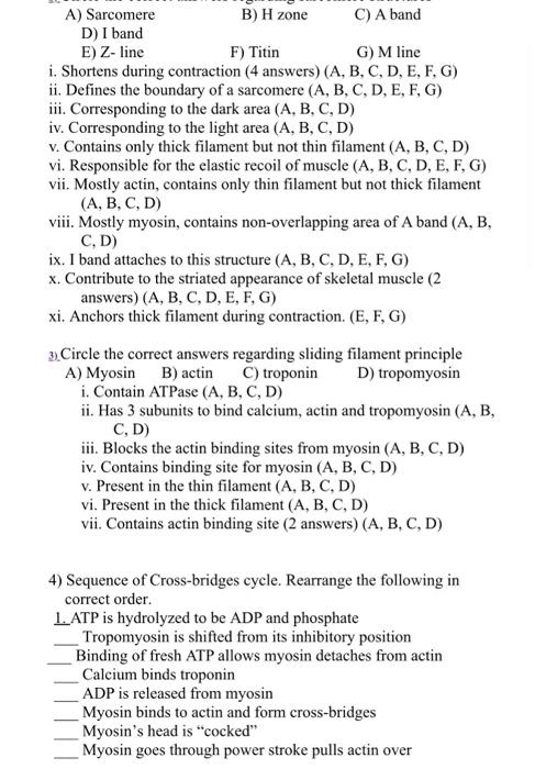 Solved A) Sarcomere B) H zone C) A band D) I band E) Z-line | Chegg.com