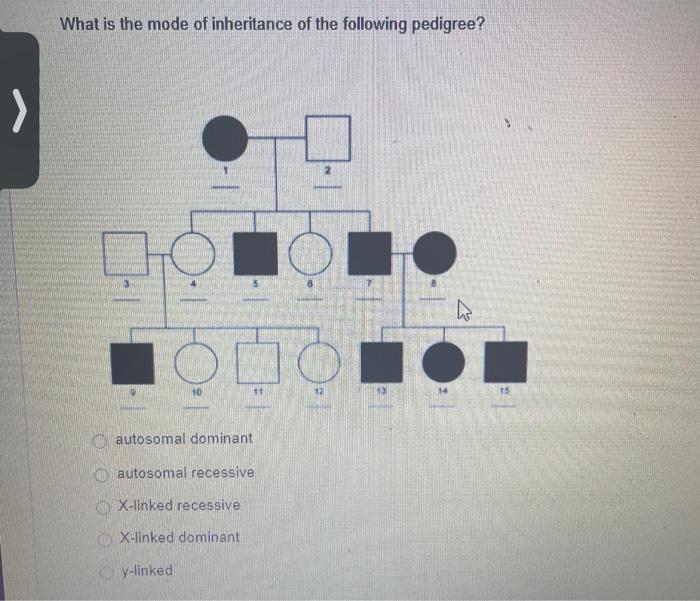 Solved What is the mode of inheritance of the following | Chegg.com