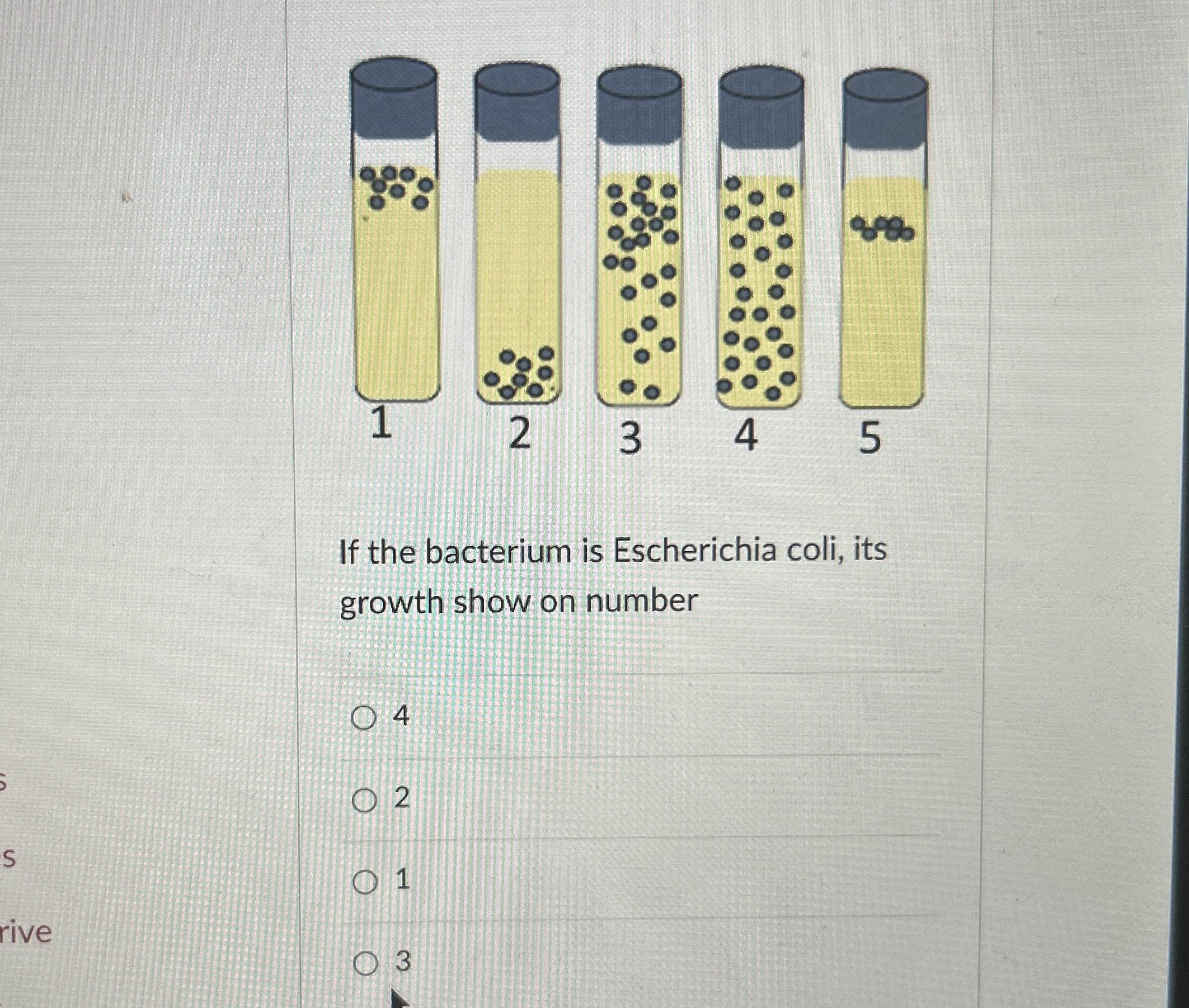 QIf the bacterium is Escherichia coli, its growth | Chegg.com
