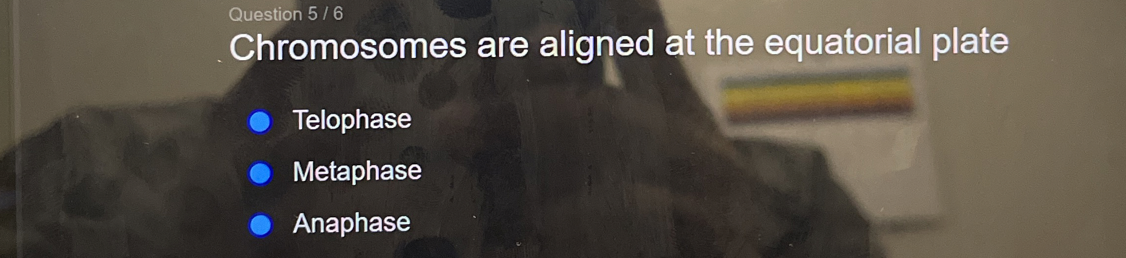 Solved Chromosomes are aligned at the equatorial | Chegg.com