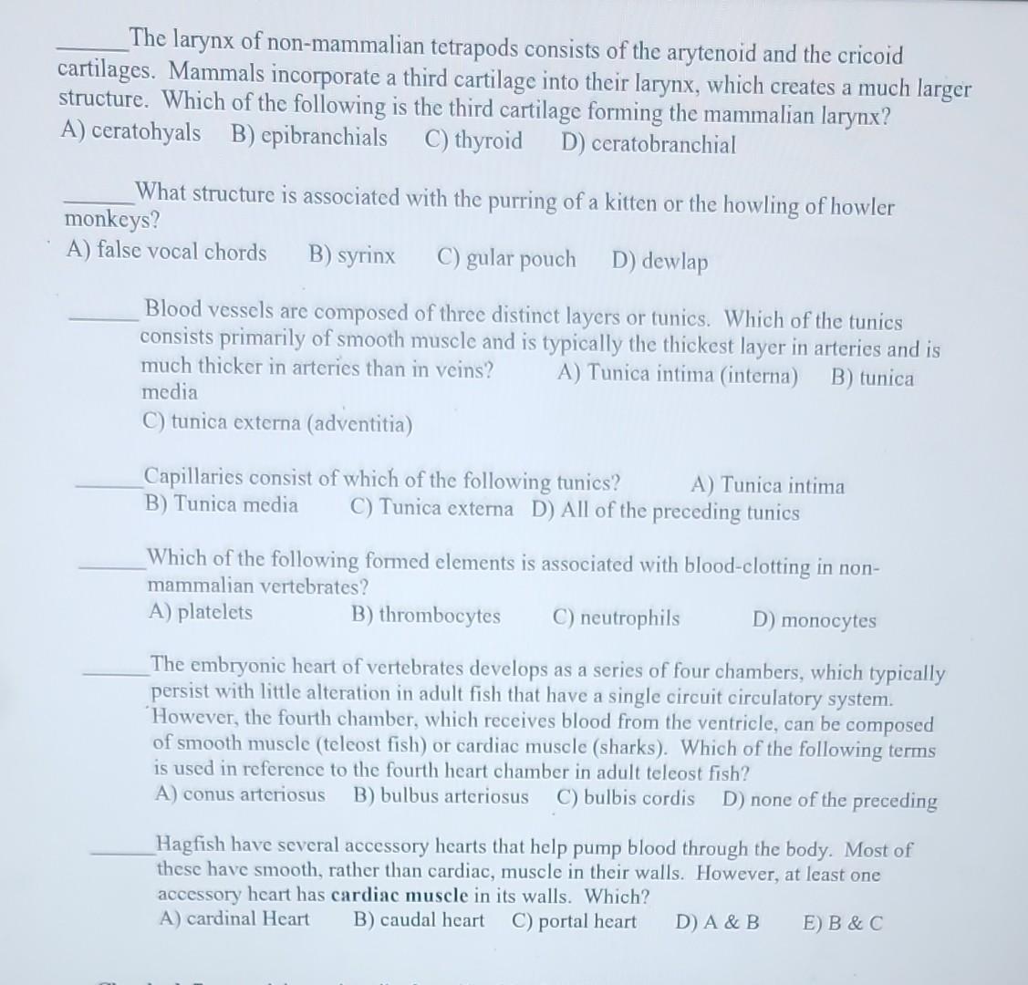 Solved The larynx of non-mammalian tetrapods consists of the | Chegg.com