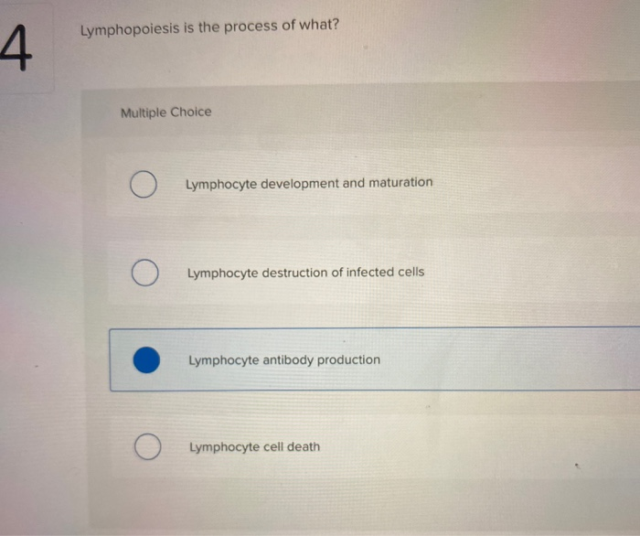 Solved Lymphopoiesis is the process of what? 4 Multiple | Chegg.com