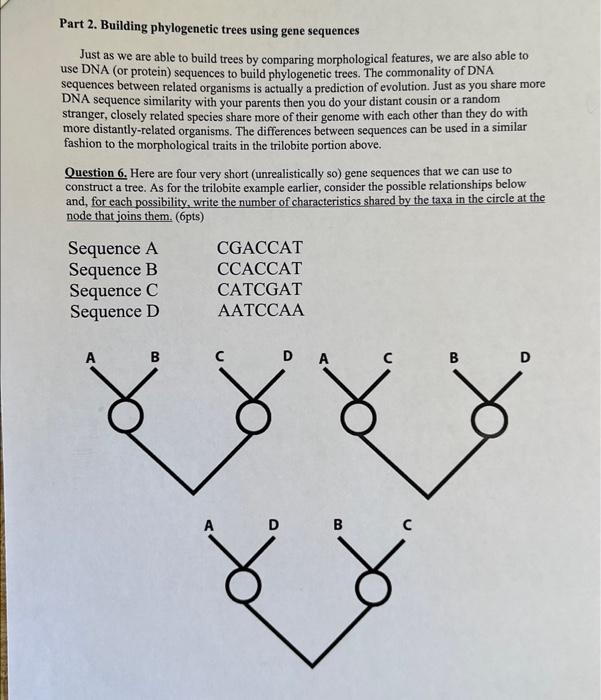 Part 2. Building phylogenetic trees using gene | Chegg.com