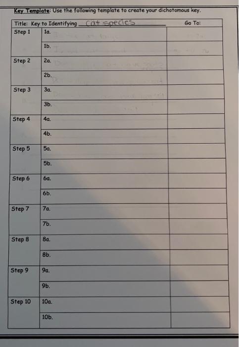Solved Create Your Own Dichotomous Key In this project, you | Chegg.com