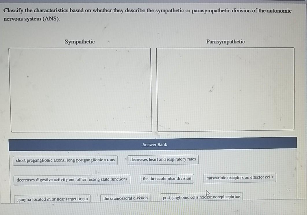 Solved Classify each function based on whether it is | Chegg.com