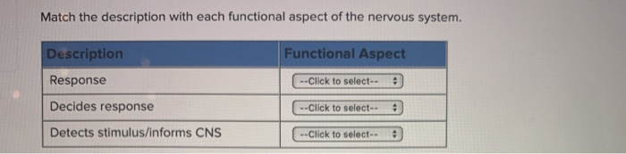 Solved Match the description with each functional aspect of | Chegg.com