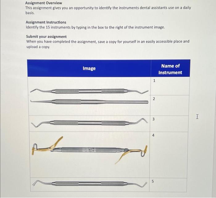 Solved Assignment Overview This assignment gives you an | Chegg.com
