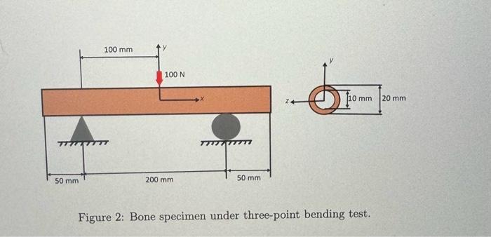 Solved Question 2 (25 pts): A bone specimen is to be tested | Chegg.com