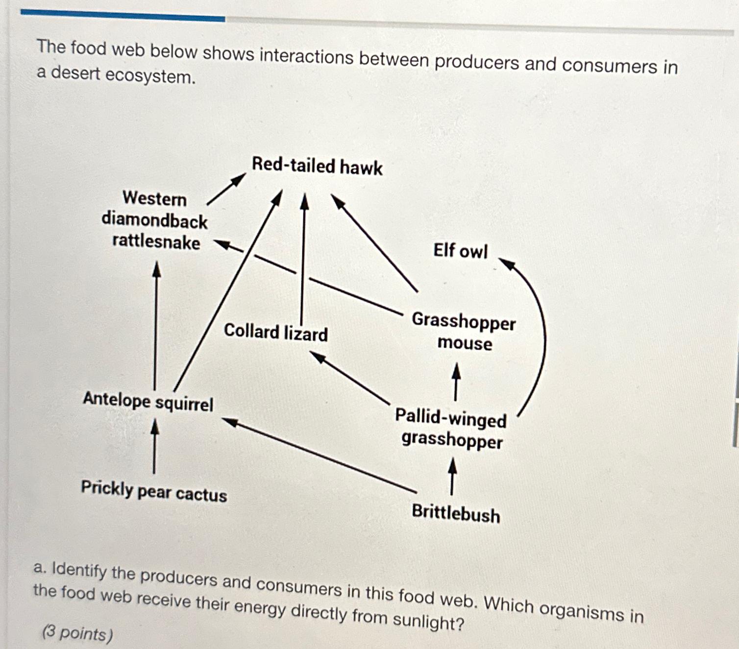 Solved The food web below shows interactions between | Chegg.com