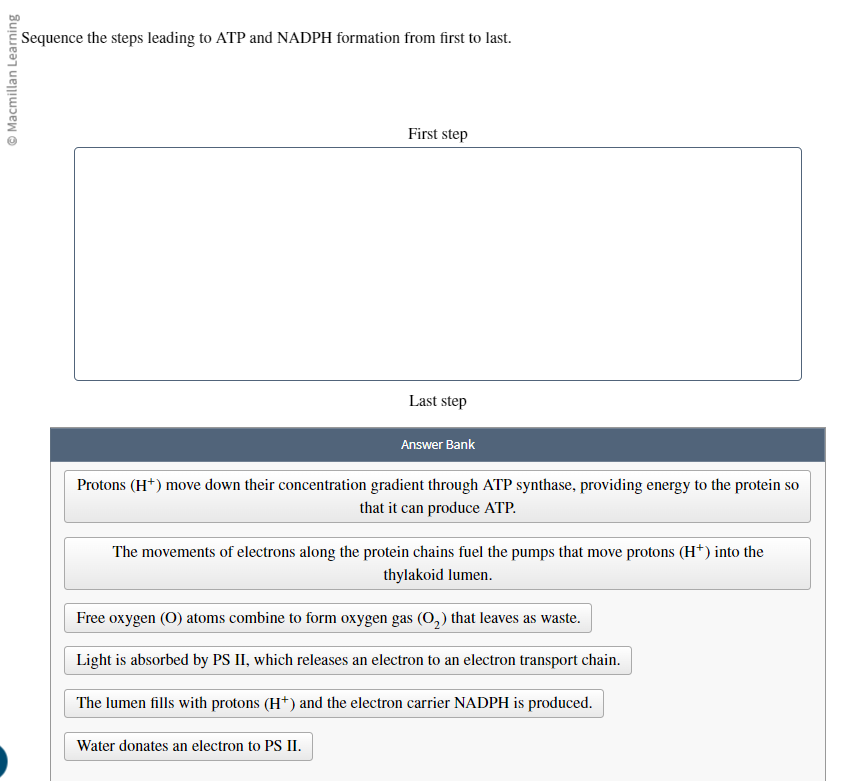 Solved Sequence the steps leading to ATP and NADPH formation | Chegg.com