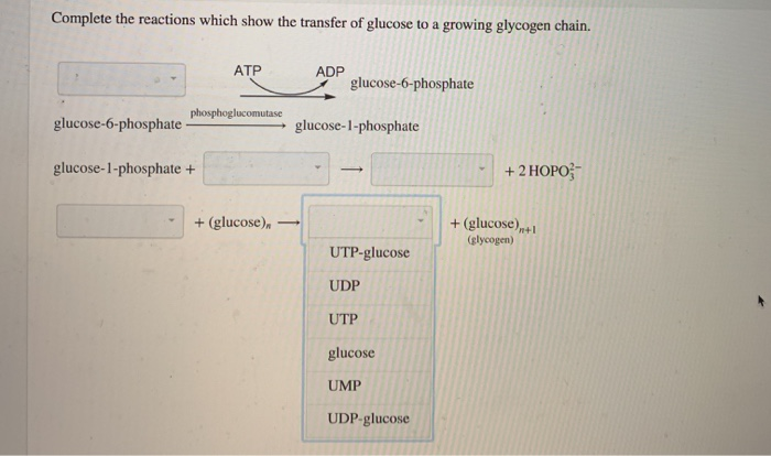 Solved Complete the reactions which show the transfer of | Chegg.com