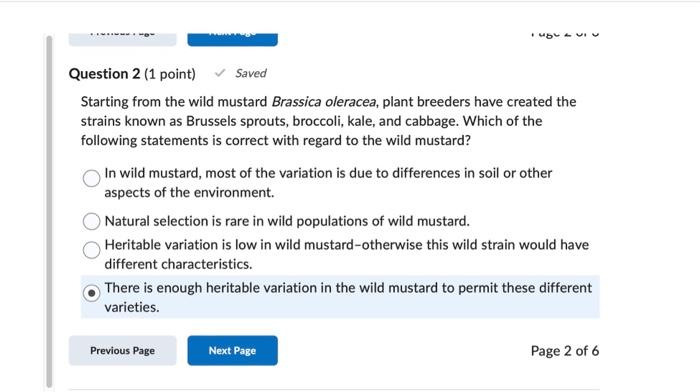 Solved I got one of these six questions, wrong, can someone | Chegg.com