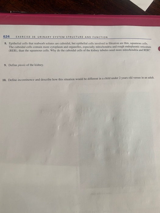 Solved Name Date Section Using Your knowledge EXERCISE | Chegg.com