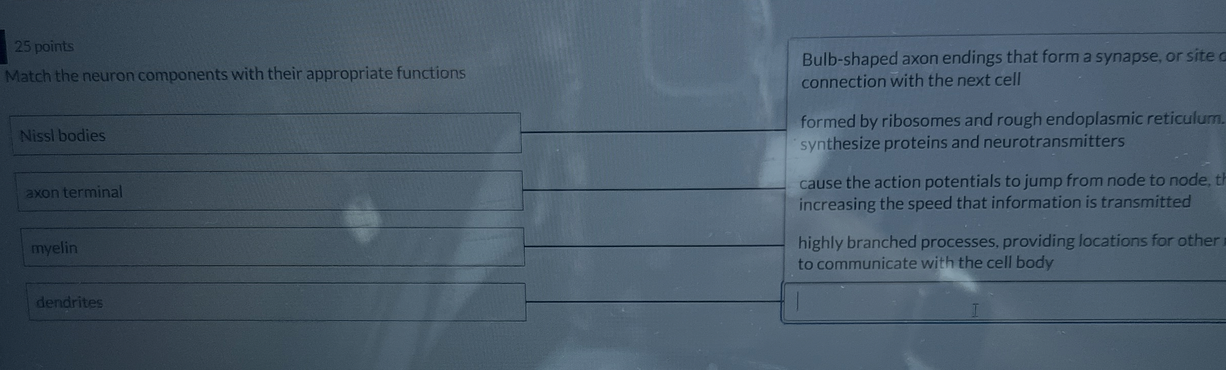 Solved 25 ﻿pointsMatch the neuron components with their | Chegg.com