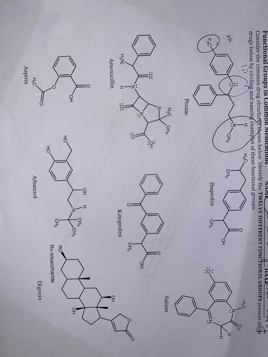Solved NAME DAL Functional Groups in Common Medications | Chegg.com
