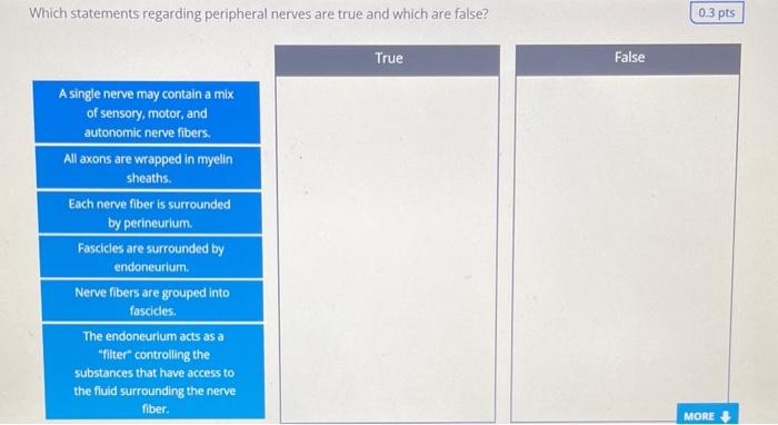 Solved Which statements regarding nerve fibers in peripheral | Chegg.com