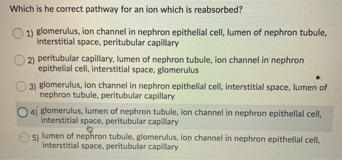 Solved Which is he correct pathway for an ion which is | Chegg.com