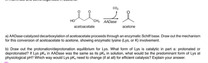 Solved a) AADase-catalyzed decarboxylation of acetoacetate | Chegg.com