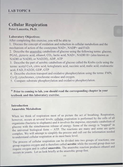 Solved Cellular Respiration Peter Lanzetta, Ph.D. Laboratory | Chegg.com