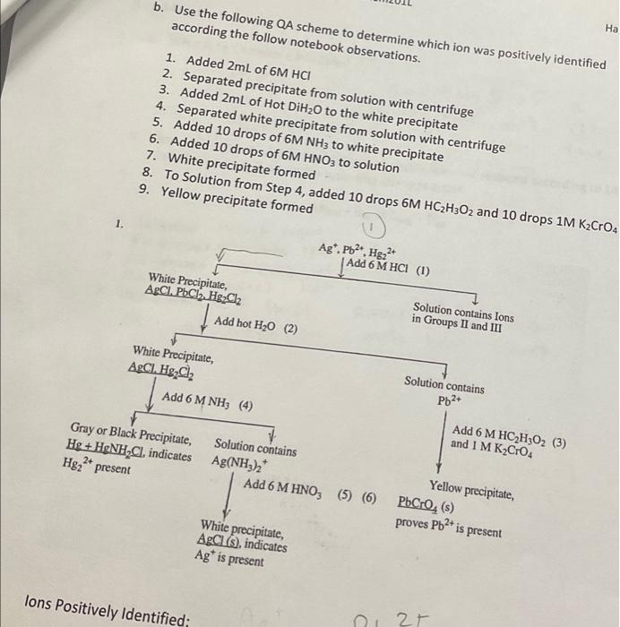 Solved b. Use the following QA scheme to determine which ion | Chegg.com