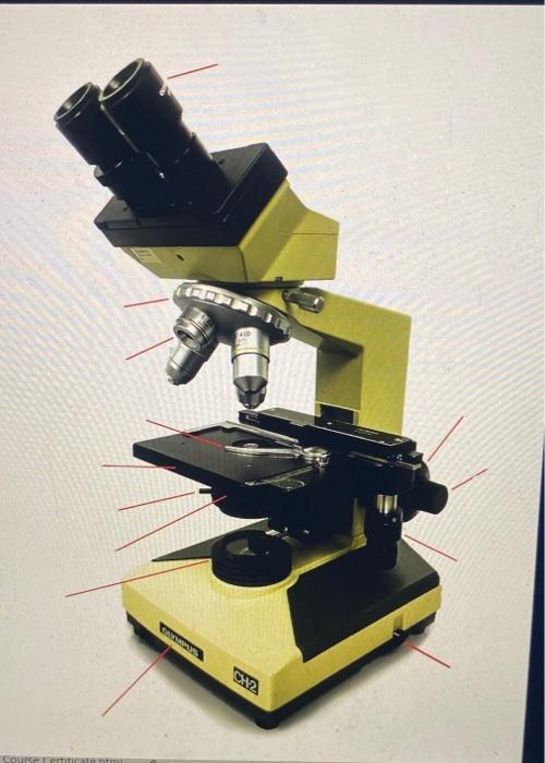 Solved if you can help me identifying thoso one please | Chegg.com