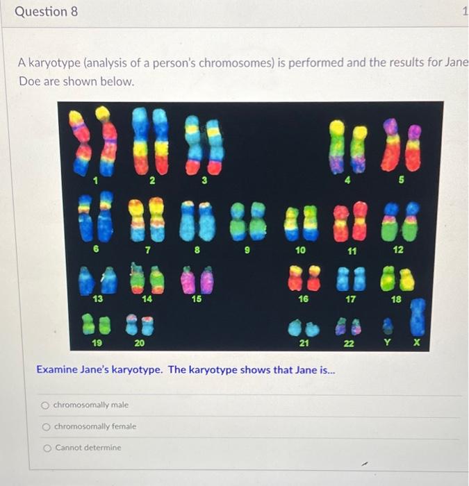 Solved Question 8 A karyotype (analysis of a person's | Chegg.com
