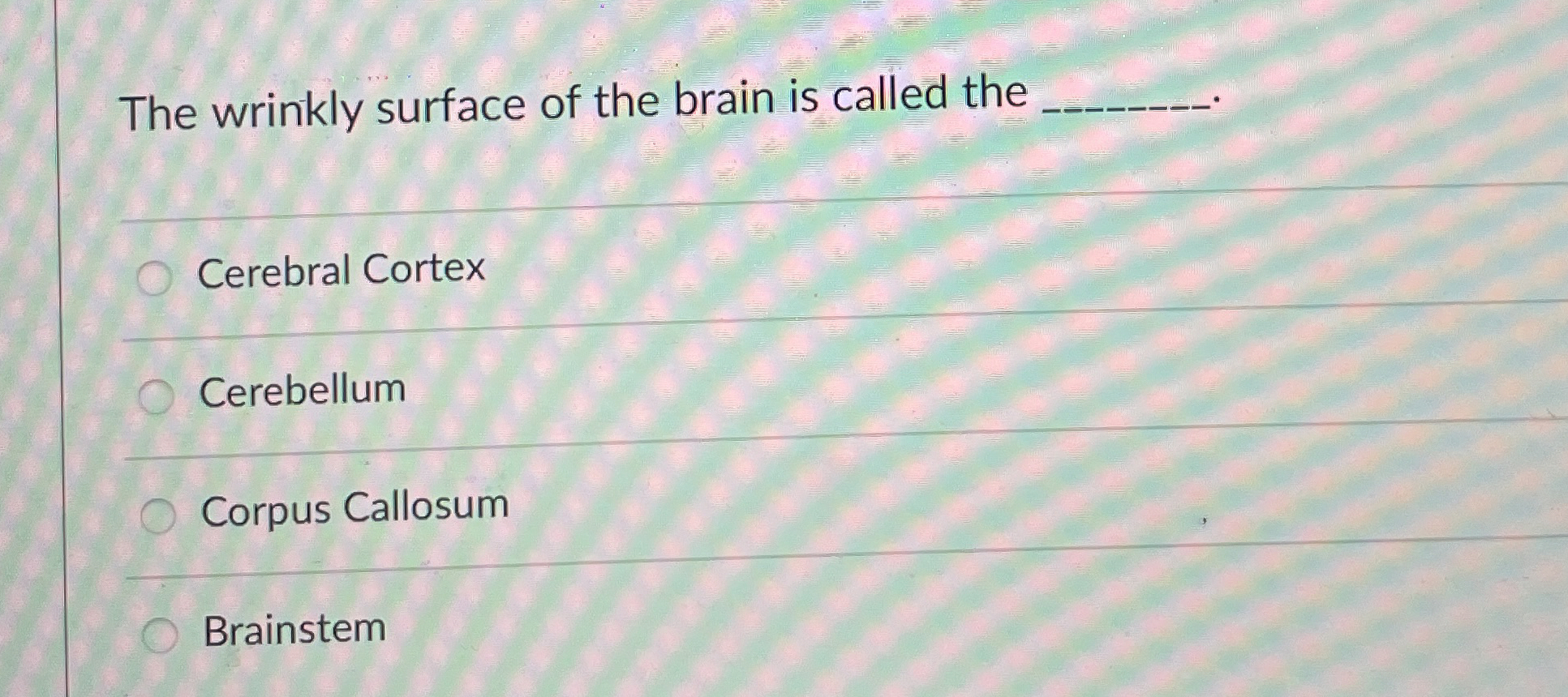 Solved The wrinkly surface of the brain is called the | Chegg.com