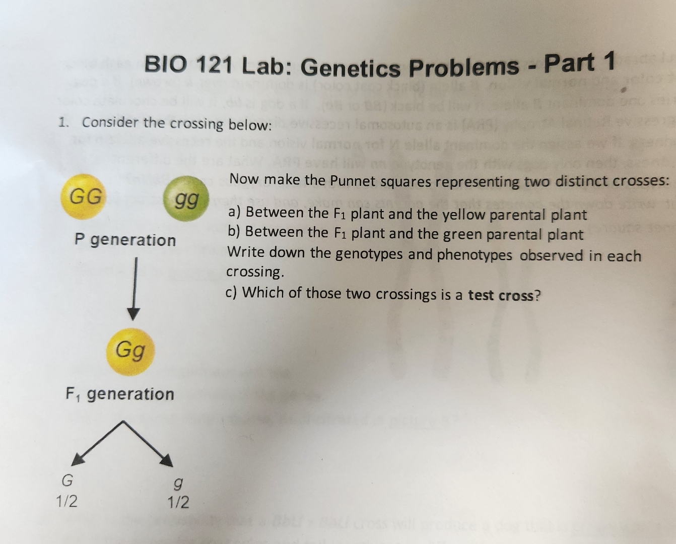 Solved BIO 121 ﻿Lab: Genetics Problems - ﻿Part 1Consider the | Chegg.com