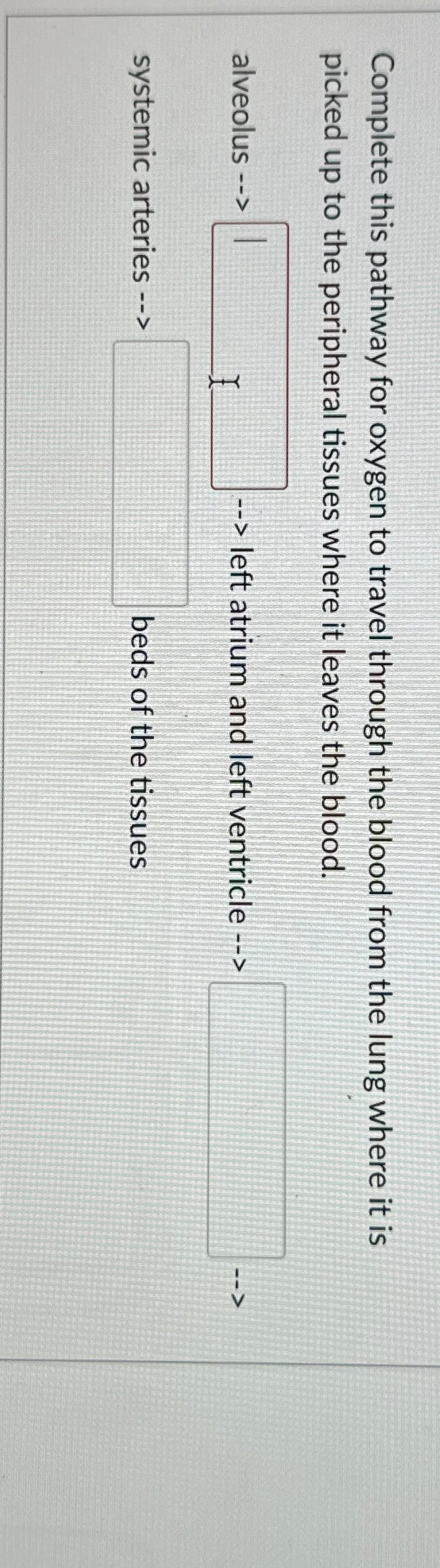 Solved Complete this pathway for oxygen to travel through | Chegg.com