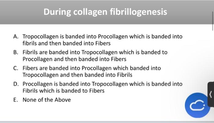 Solved During collagen fibrillogenesis A. Tropocollagen is | Chegg.com