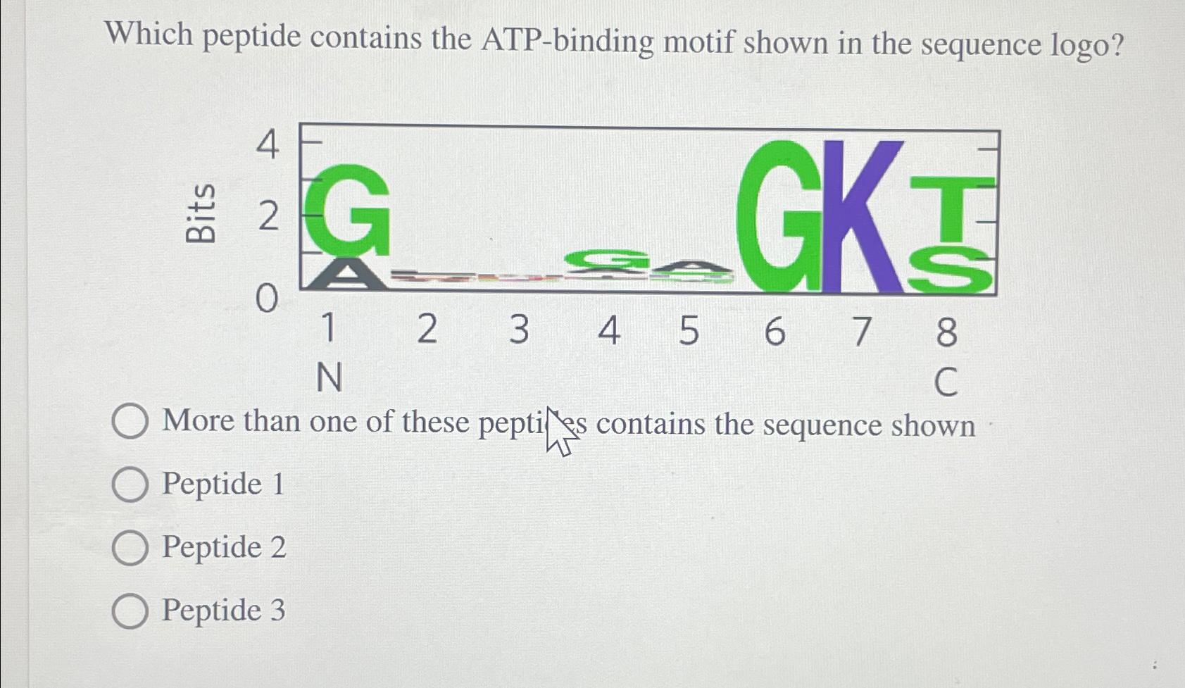 Solved Which Peptide Contains The Atp Binding Motif Shown In