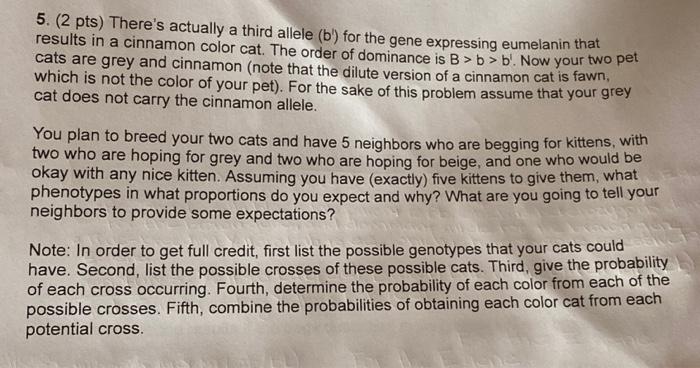 Solved can someone please help me on 5. read everything | Chegg.com