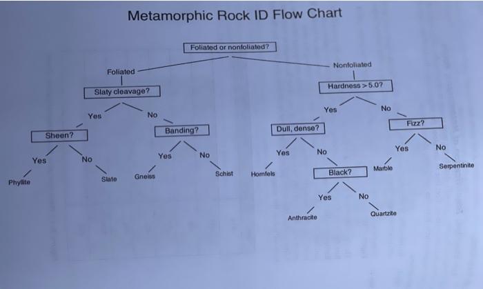 Solved Lab Exercise Lab Exercise: Identification of | Chegg.com