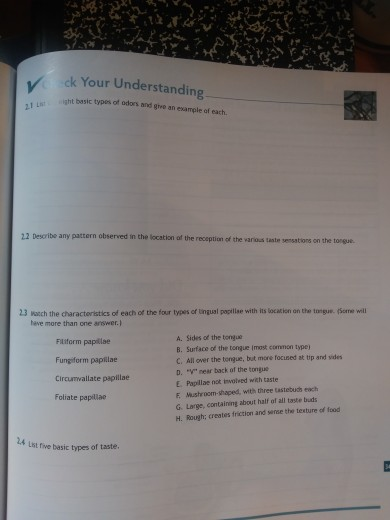 ck Your Understanding htbasic types of dens andre an | Chegg.com