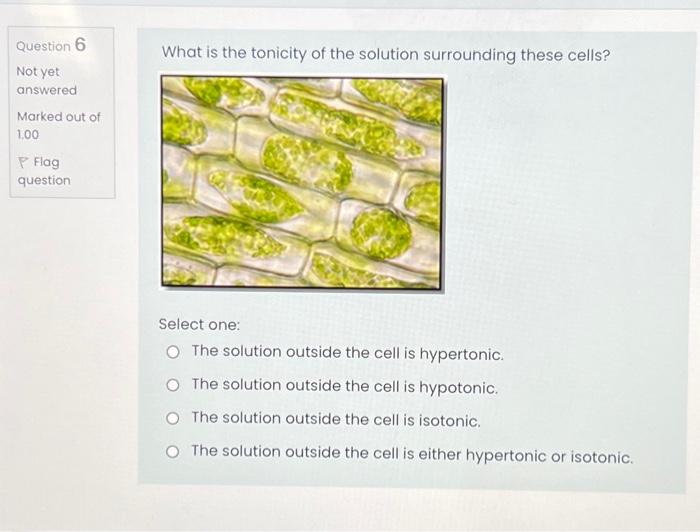 Solved Question 6 Not yet answered Marked out of 1.00 Flag | Chegg.com Solved Question 6 Not yet answered Marked out of 1.00 Flag | Chegg.com