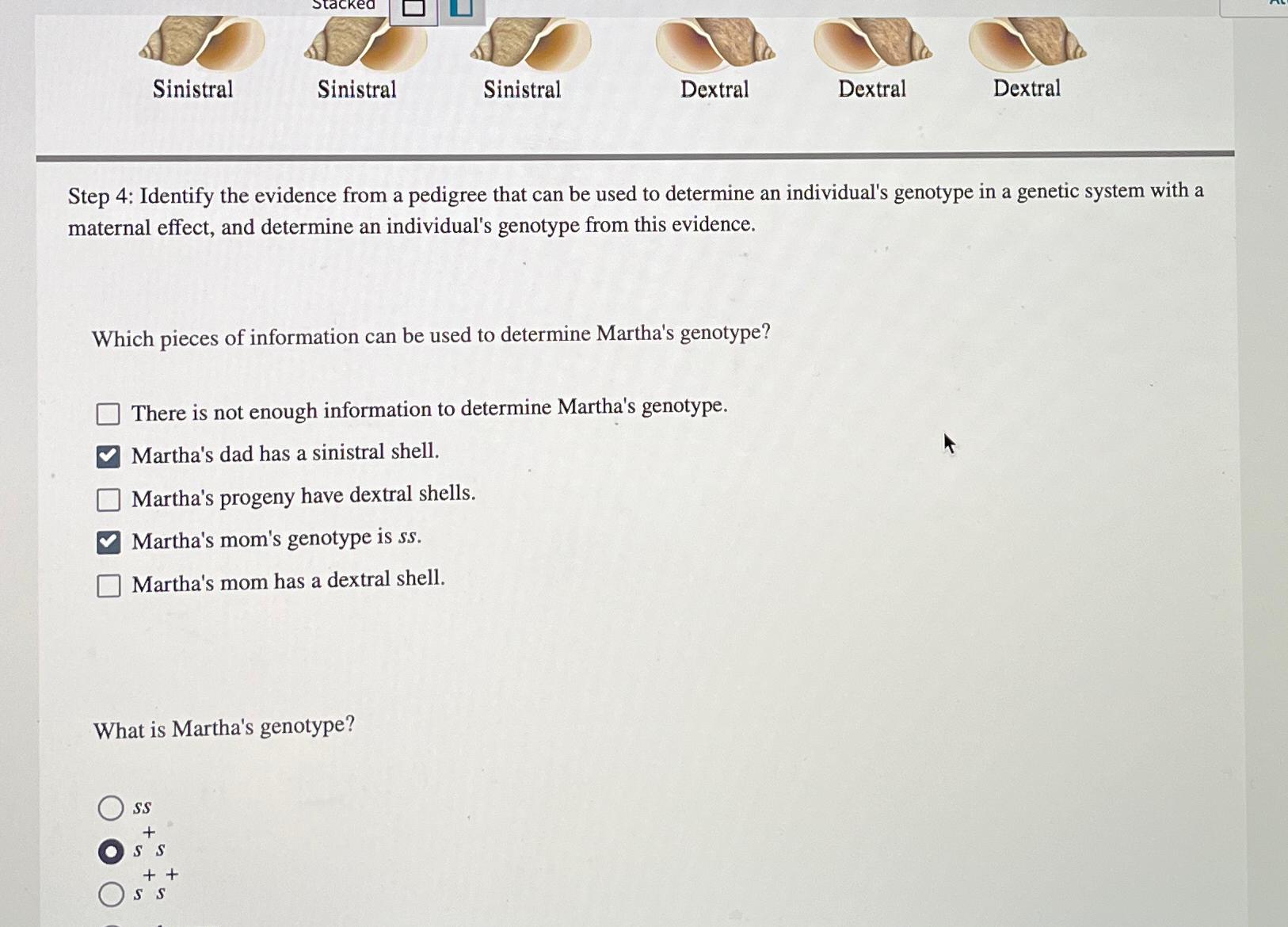 Solved SinistralSinistralSinistralDextralDextralDextralStep | Chegg.com