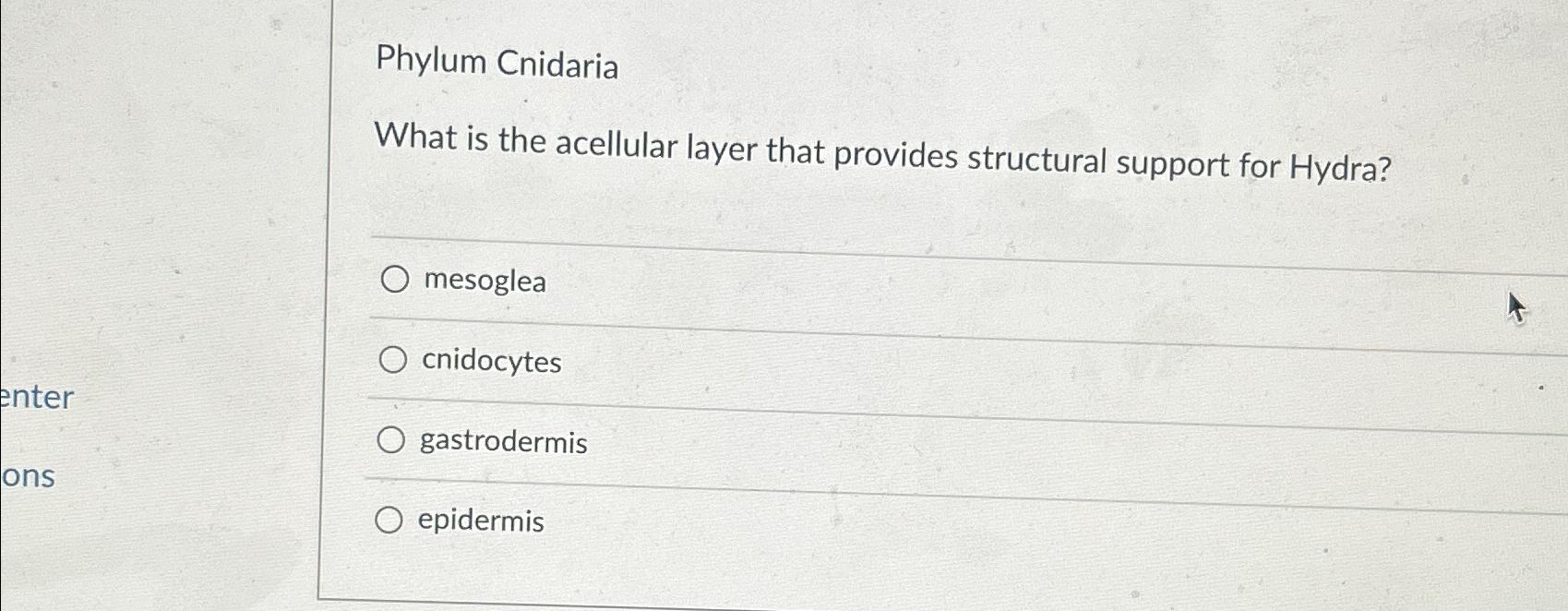Solved Phylum CnidariaWhat is the acellular layer that | Chegg.com