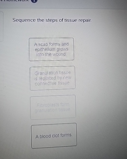 Solved Sequence the steps of tissue repair.A scab forms and | Chegg.com Solved Sequence the steps of tissue repair.A scab forms and | Chegg.com
