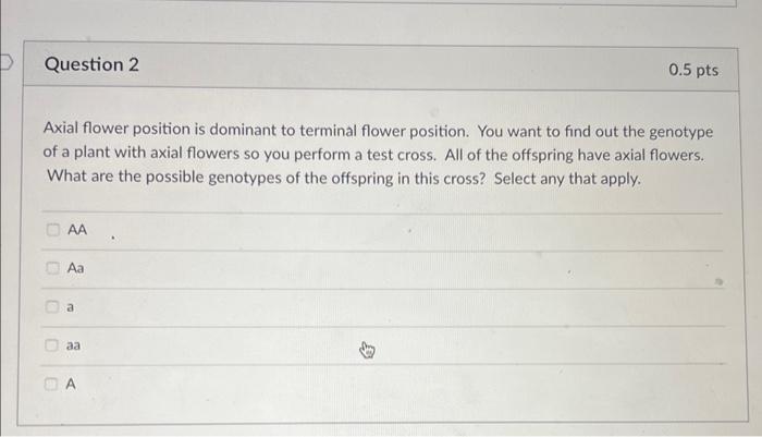 Solved Axial flower position is dominant to terminal flower | Chegg.com